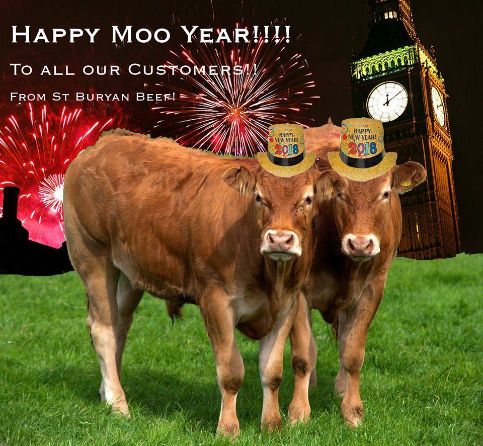 Happy Moo Year – St Buryan Farm Shop